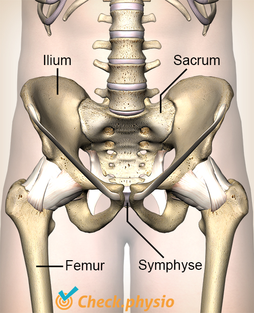 Beckeninstabilität | Ursache, Symptome & Behandlung